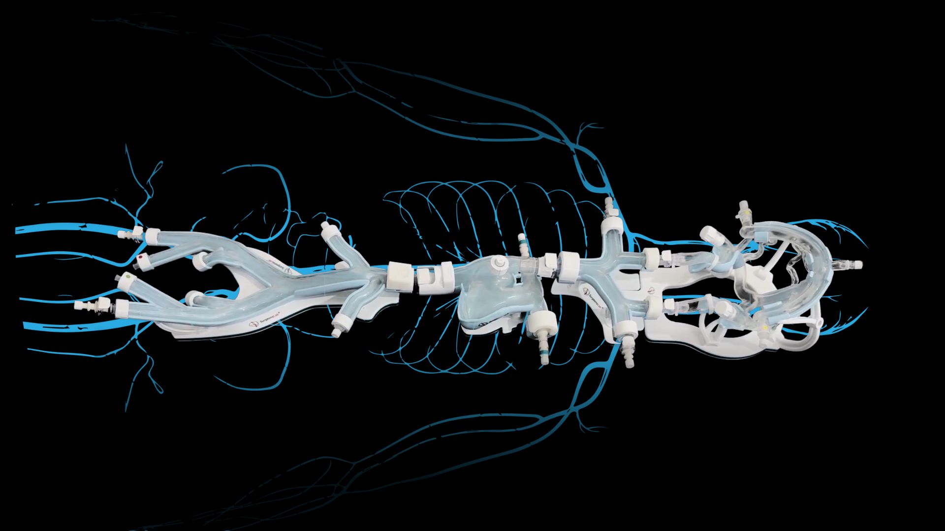 High-Fidelity Neuro Venous Models for Medical Training & Research